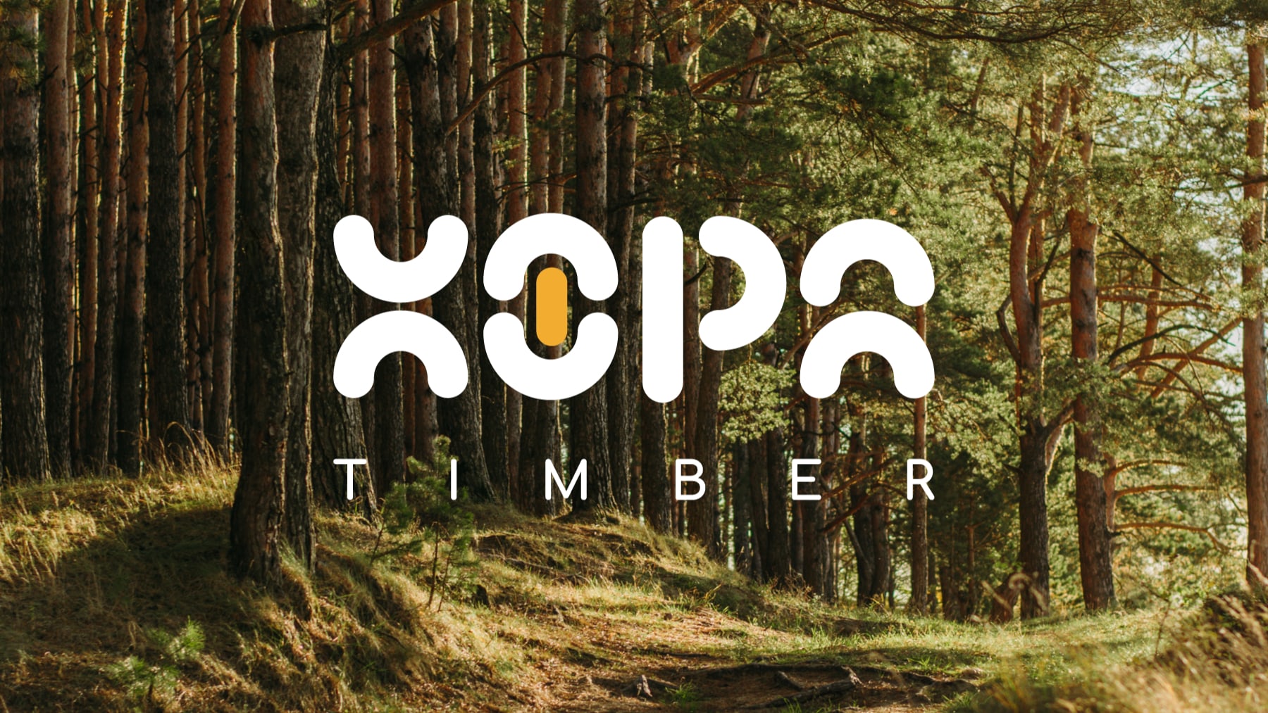XOPA Timber - Sourcing and exporting of high-quality tropical wood